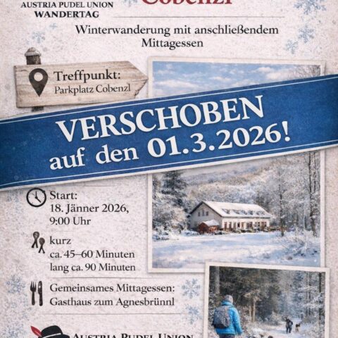 Austria Pudel Union | Pudelliebe verbindet – Fairness und Offenheit